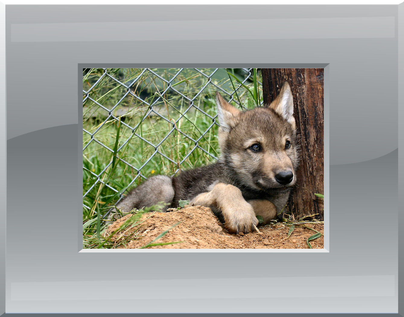 Michelle Paver – Creator of Legends